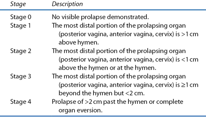 rectocele grading scale